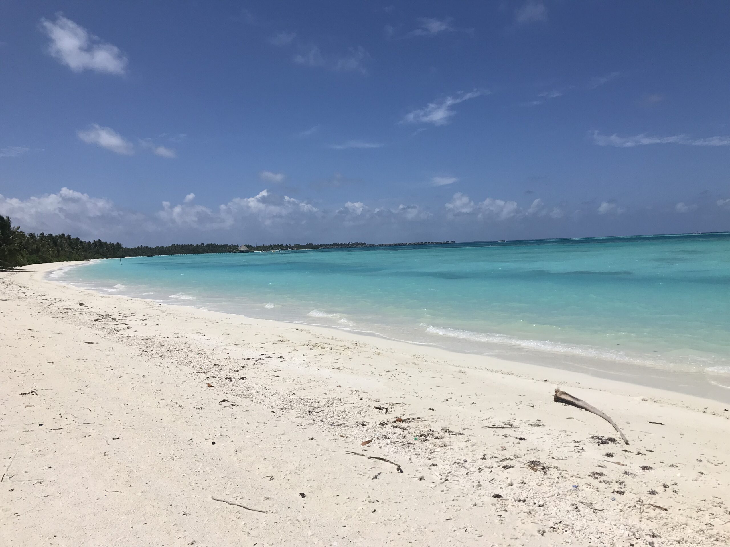 All documents required for Immigration/ Visa on arrival in Maldives
